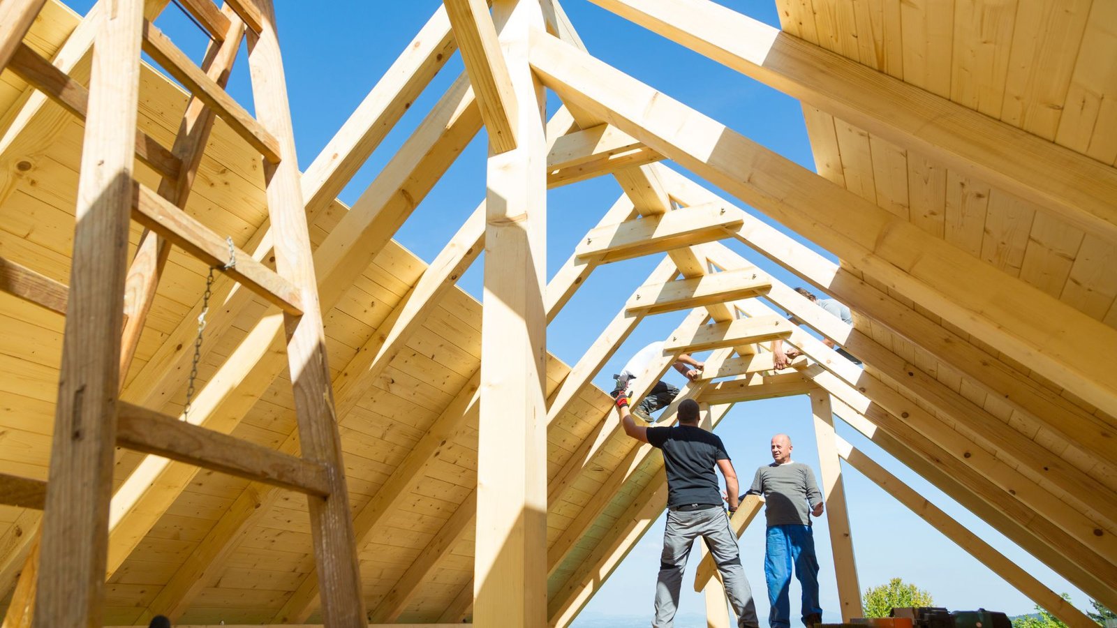 How To Check Builders Credentials NZ The Right Way